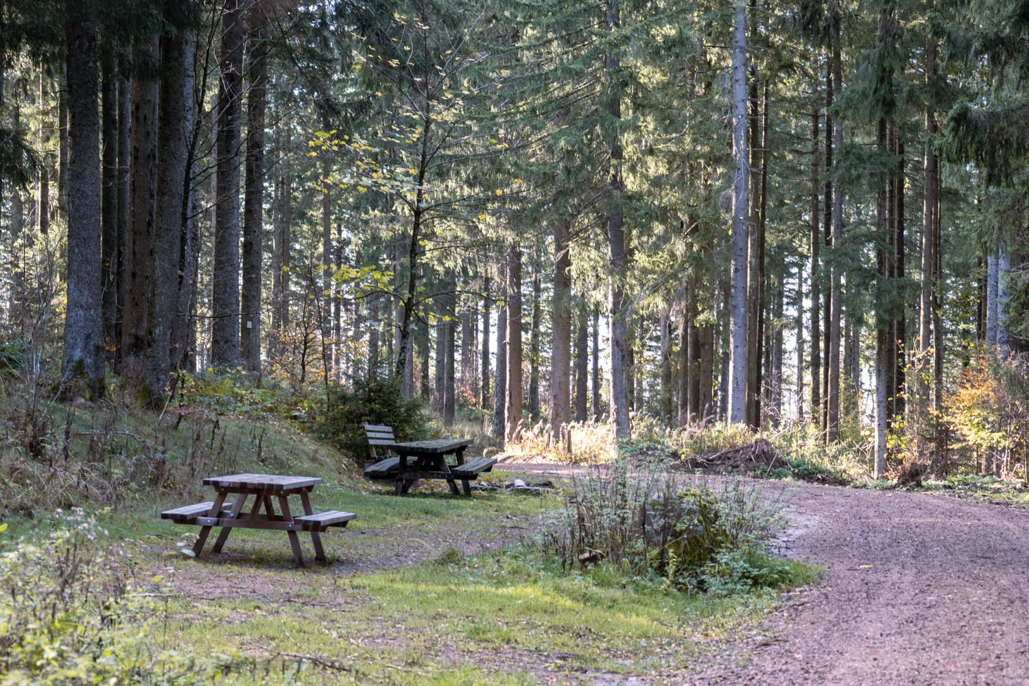 Kandel Rundweg - Schwarzwald Tageswanderung