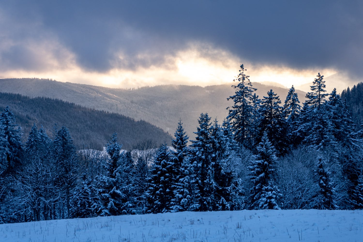 Feldberg Panoramaweg - Winterwanderung Schwarzwald